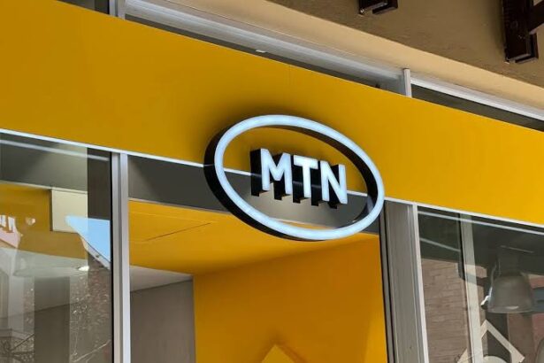 JUST IN: Minister Reveals Cost Of Phone Call, SMS, And 1GB Data Bundle ...