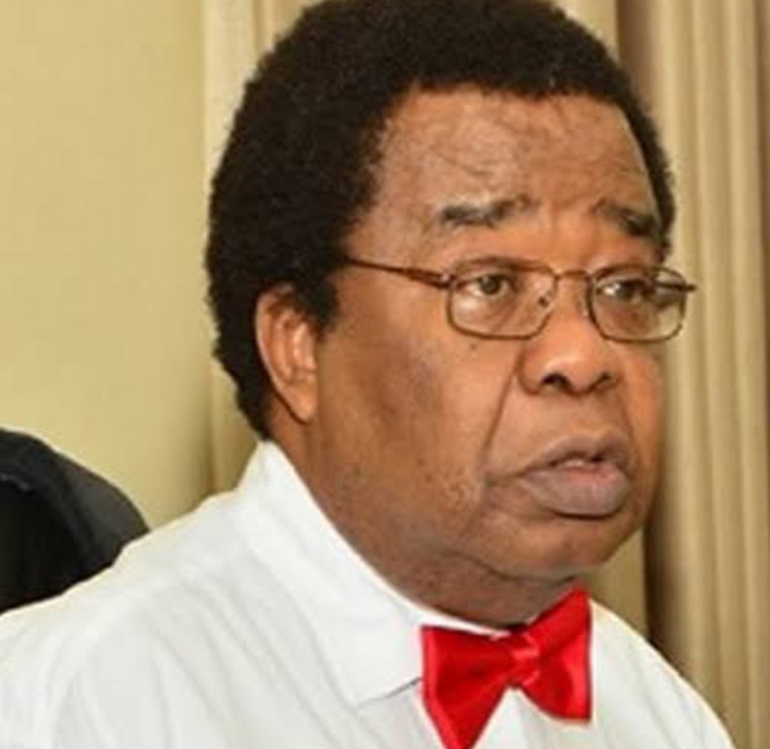 Why Nigeria Has To Be Careful With Chinese Deals – Prof Akinyemi ...
