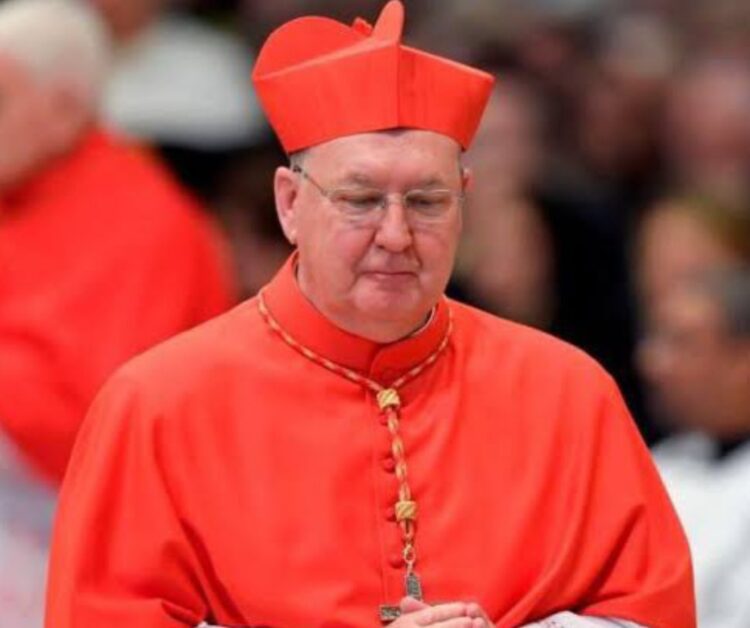 FACT-CHECK: Did Donald Trump Influence US Cardinal To Become Next Pope ...